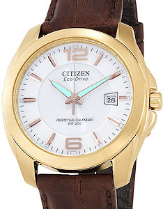 Citizen Everyday Sport wrist watches - Perpetual Calendar 200 Meters ...